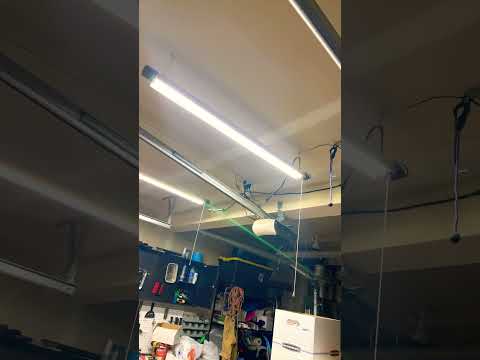These Harbor freight shop lights are amazingly reliable! #harborfreight #lights #longevity