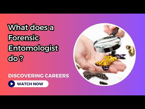 Discovering Careers | Forensic Entomologist