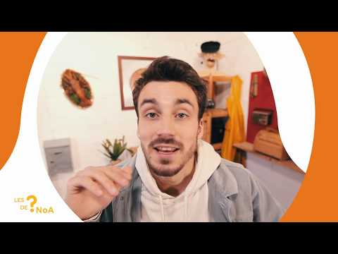 Les ? de Noa #34 : à quelle vitesse la mer grignote-t-elle nos côtes ?