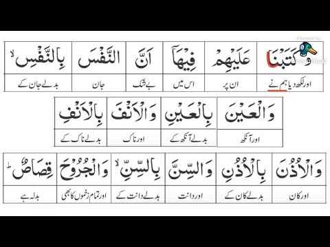 Translation Word Analysis Tafseer Al Maida Lesson 86 Verses35 to 45