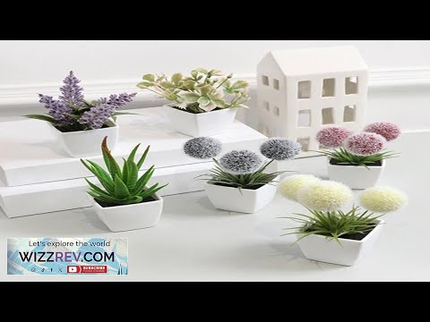 1set Of Home Decoration Mini Evergreen Artificial Plant Small Potted Plants Review