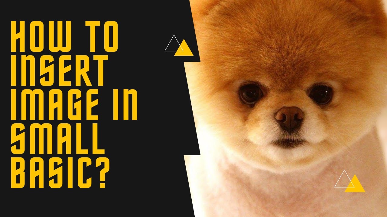 Learn How to Insert Picture in Small Basic?