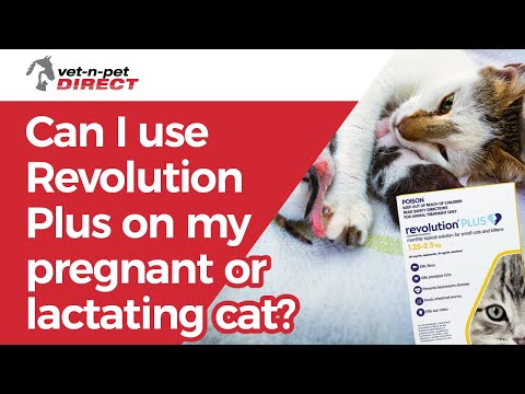 Can I use Revolution Plus on my pregnant or lactating cat?