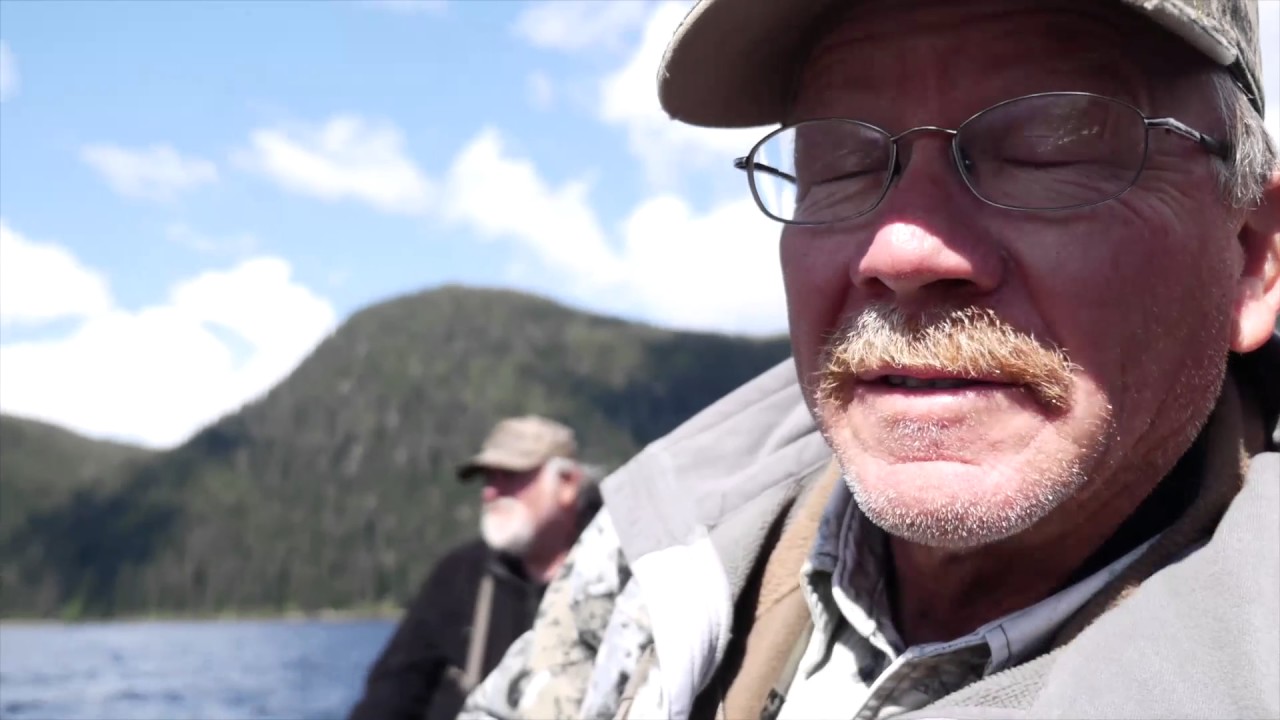 Alaska Raven Guides - Brown Bear