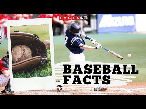 All About Baseball Facts You Have To Know