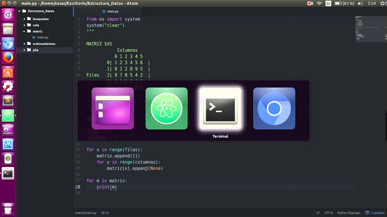 13 Estructura de Datos : Matriz, Python3.5