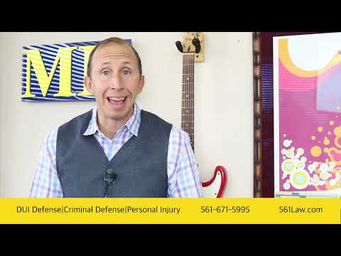 What is a Case Disposition or Status Check in Florida?