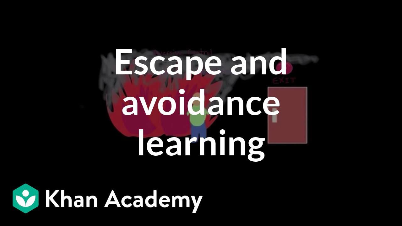 Operant conditioning: Escape and avoidance learning | Behavior | MCAT | Khan Academy