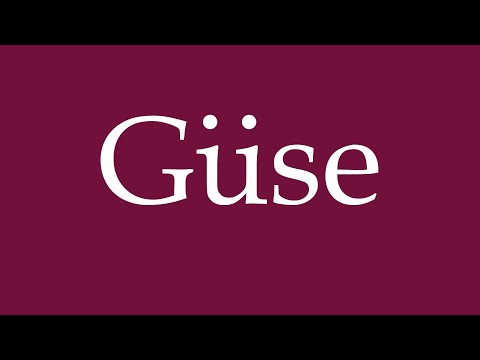 How to Pronounce ''Güse'' Correctly in German