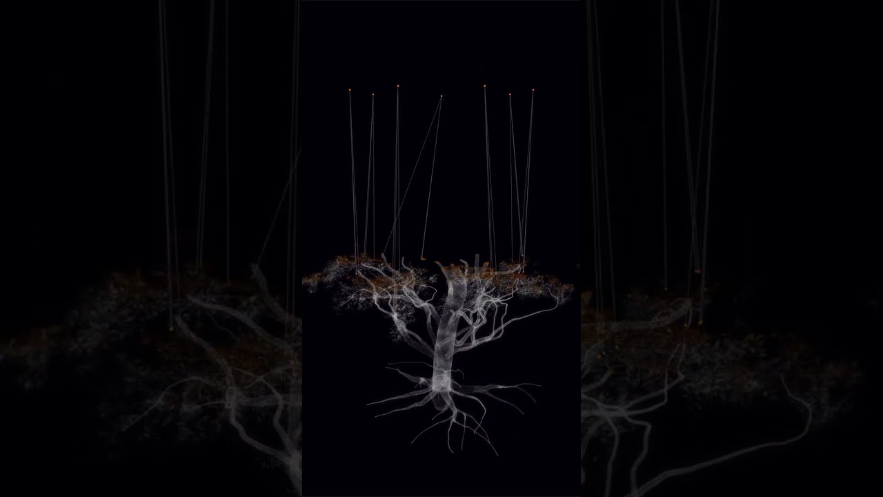 Generative art by Alex Guevara