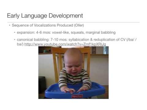 Developmental: 10.1- Language Development