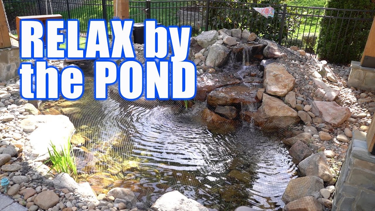 GET a POND and RELAX!