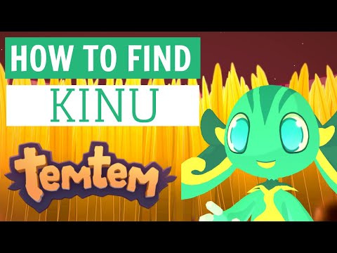 Steam Community :: Video :: How to get Kinu in TemTem / Where to find Kinu in TemTem (No Commentary)