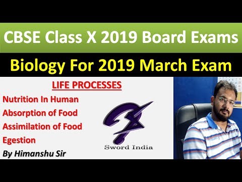 Absorption of Food - Assimilation of Food - Egestion - Nutrition in ...