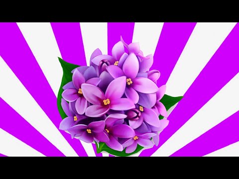 Why do Flowers bloom in Spring?