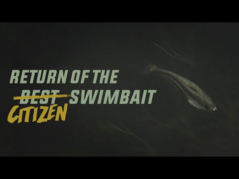 The NEW CITIZEN 6 x 7: BREAKDOWN