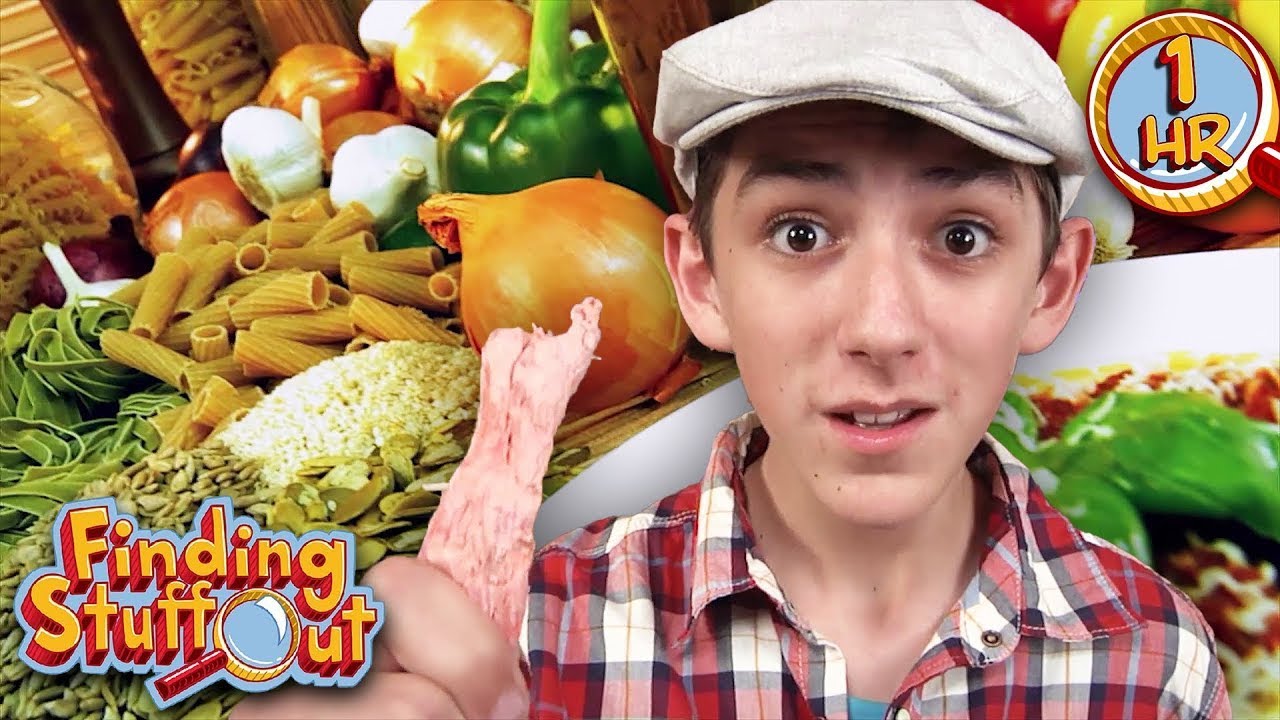 Fun Food Facts for Kids | Finding Stuff Out | Scholastic After School