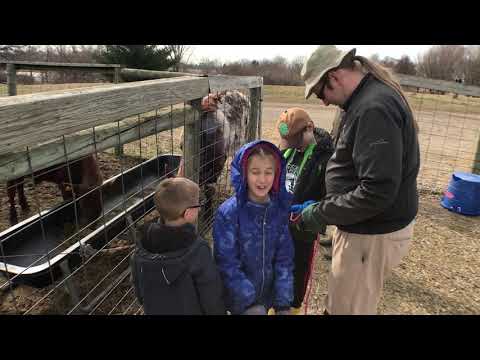 Why Do Cows Have Tails? - Rich- Farmer