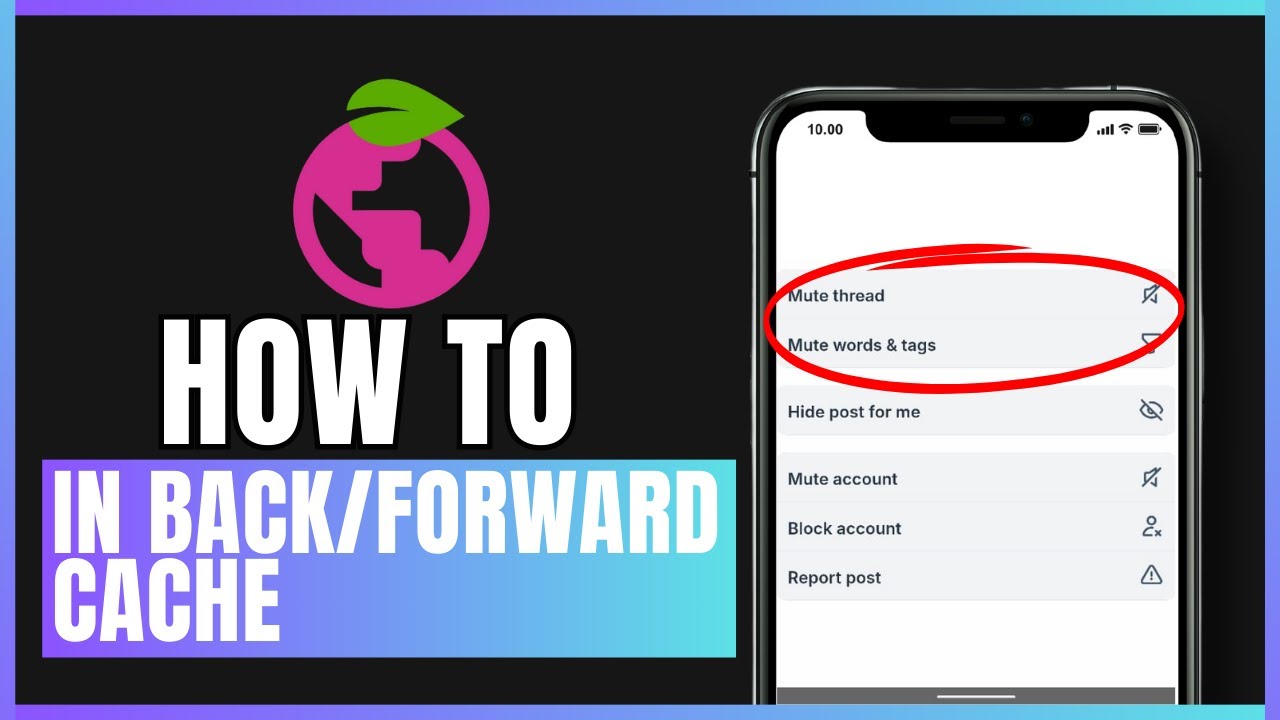 How to turn on back/forward cache in Berry Browser