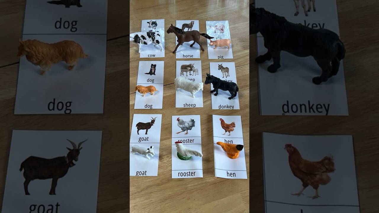 Toddler/preschool animal activity #preschool #learning #teaching #daycare