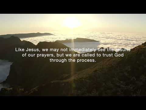 Reflection and Awe Day 16 | What does it mean to be faithful in prayer?#christianity #jesus #easter