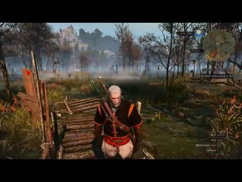 Steam Community :: Video :: The Witcher 3: Wild Hunt - Swamp Thing ...