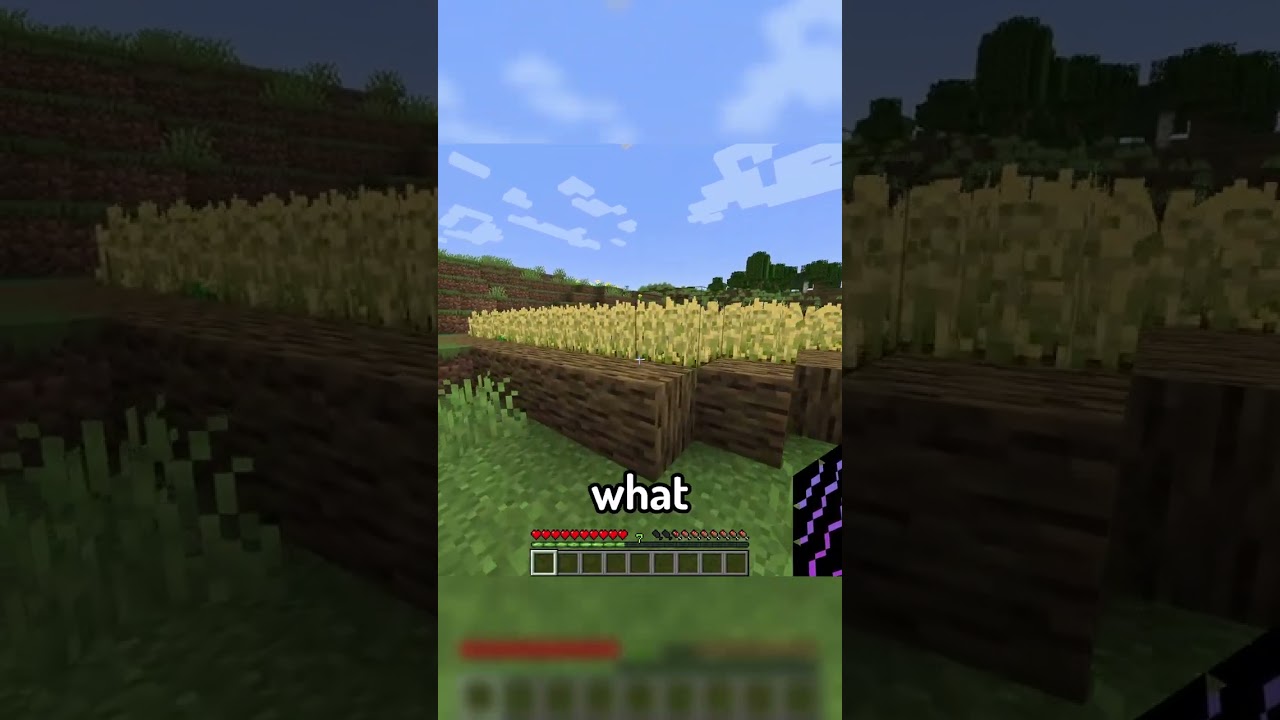 Mini Mod Reviews - Right Click Harvest