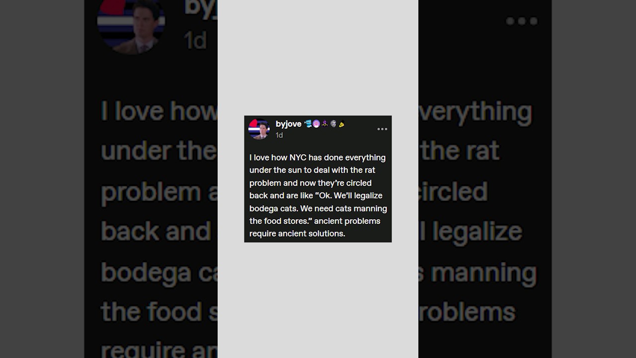 Old Solutions Tumblr Post 😌