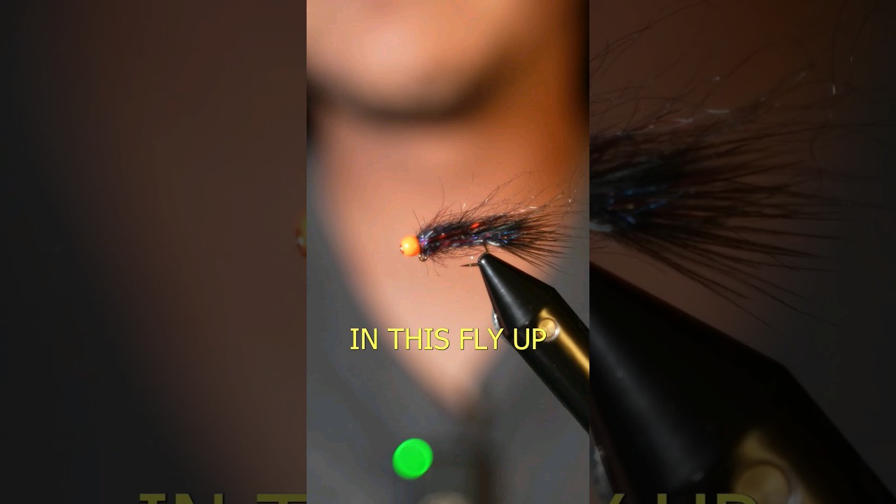 How To Tie A Micro Balanced Leech | My Favorite Still Water Fly #utahflyfishing #fishingflies