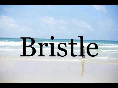 How To Pronounce Bristle🌈🌈🌈🌈🌈🌈Pronunciation Of Bristle
