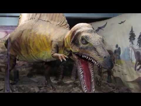 Robotic dinosaur exhibit in museum