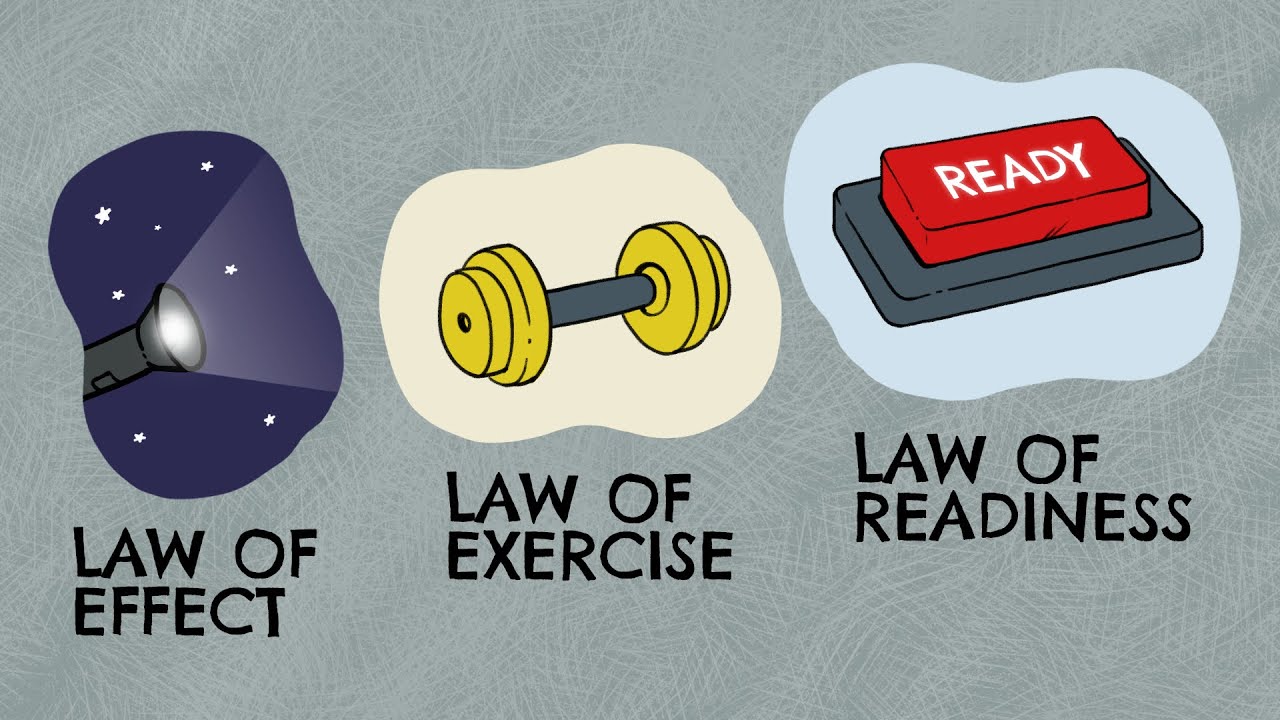 Stimulus Response Theory - Edward Thorndike (Definition + Examples)