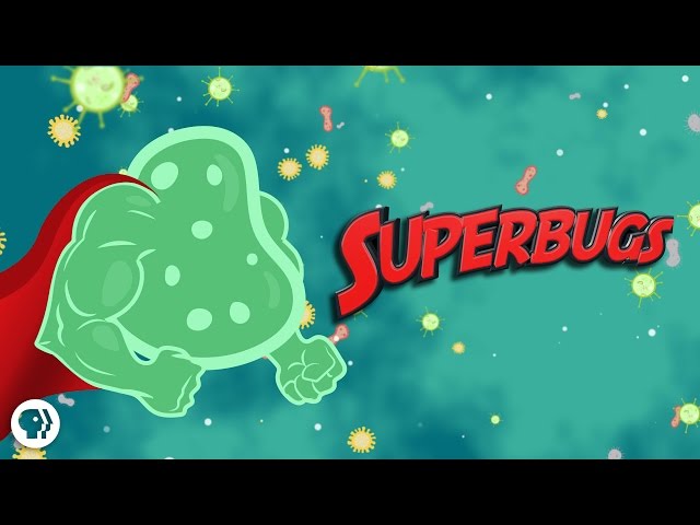 The Threat of Superbugs: Understanding Antibiotic Resistance | Galaxy