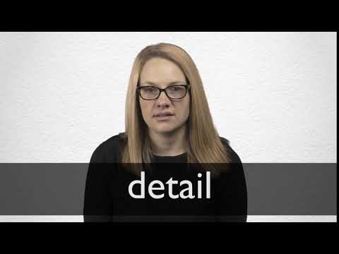 DETAIL definition and meaning | Collins English Dictionary