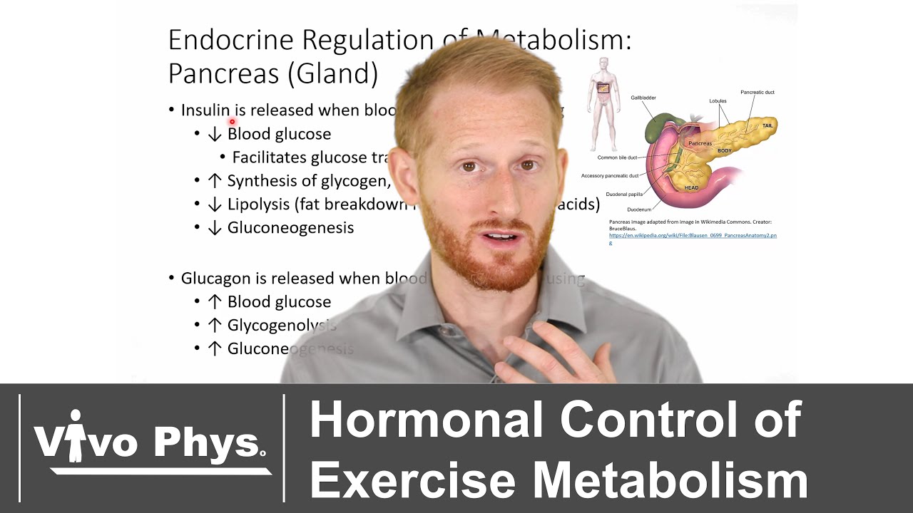 Hormonal Control of Exercise Metabolism