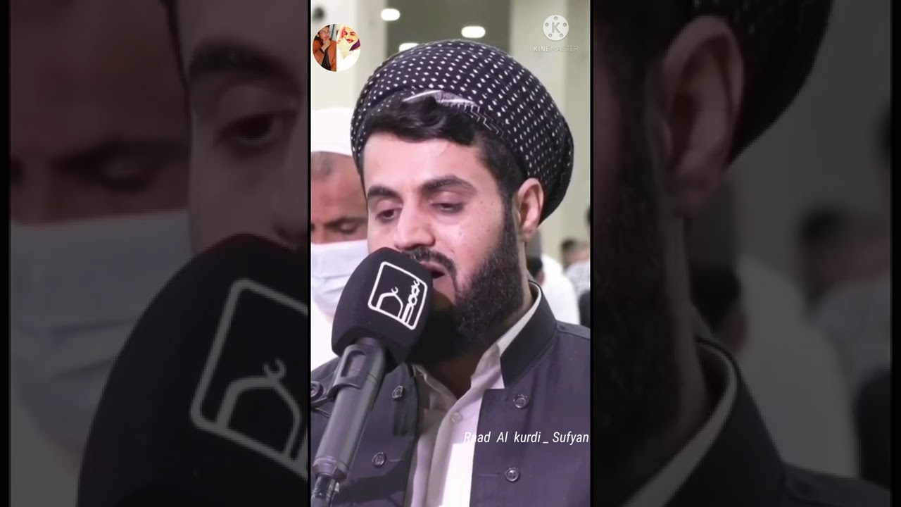 Raad Al kurdi Whatsapp status سورة الحجرات الشيخ رعد الكردى