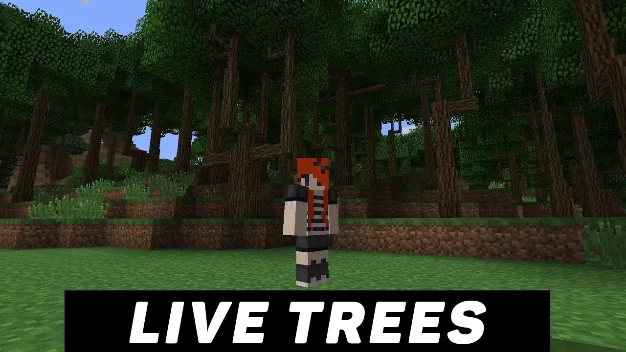 Dynamic Trees mod tutorial. Guide. Realistic trees. (Minecraft java)