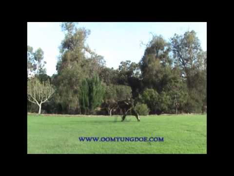 Oom Yung Doe - 8 Martial Arts Video