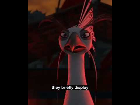 Yin Yang Symbol was Soothsayer's prophecy in KFP 2 #shorts #viral