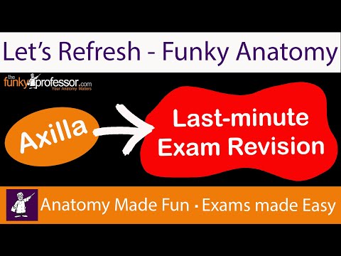 Let's Refresh The Axilla - Essential last-minute anatomy exam revision