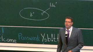 FAQ | Hyperarch Mechanism