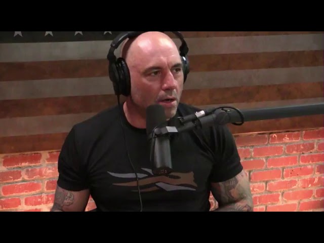 Fortnite pros Ninja, Dr Lupo react to Joe Rogan's 'Video Games are a ...