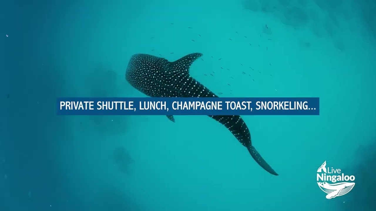 Live Ningaloo Solar Eclipse Package