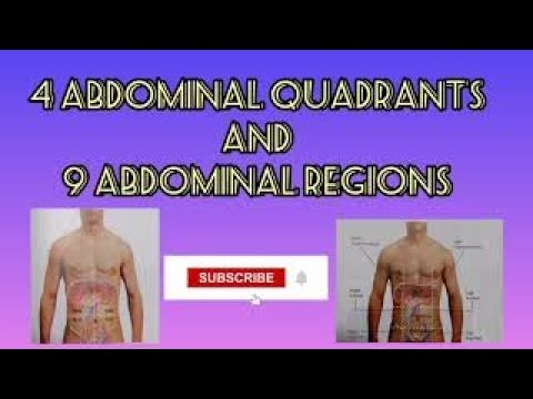 4 ABDOMINAL QUADRANTS AND 9 ABDOMINAL REGIONS/ORGANS OF ABDOMINAL QUADRANTS AND 9 ABDOMINAL REGIONS