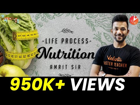 Nutrition - Life Process CBSE Class 10 Science (Biology) Chapter 6 ...