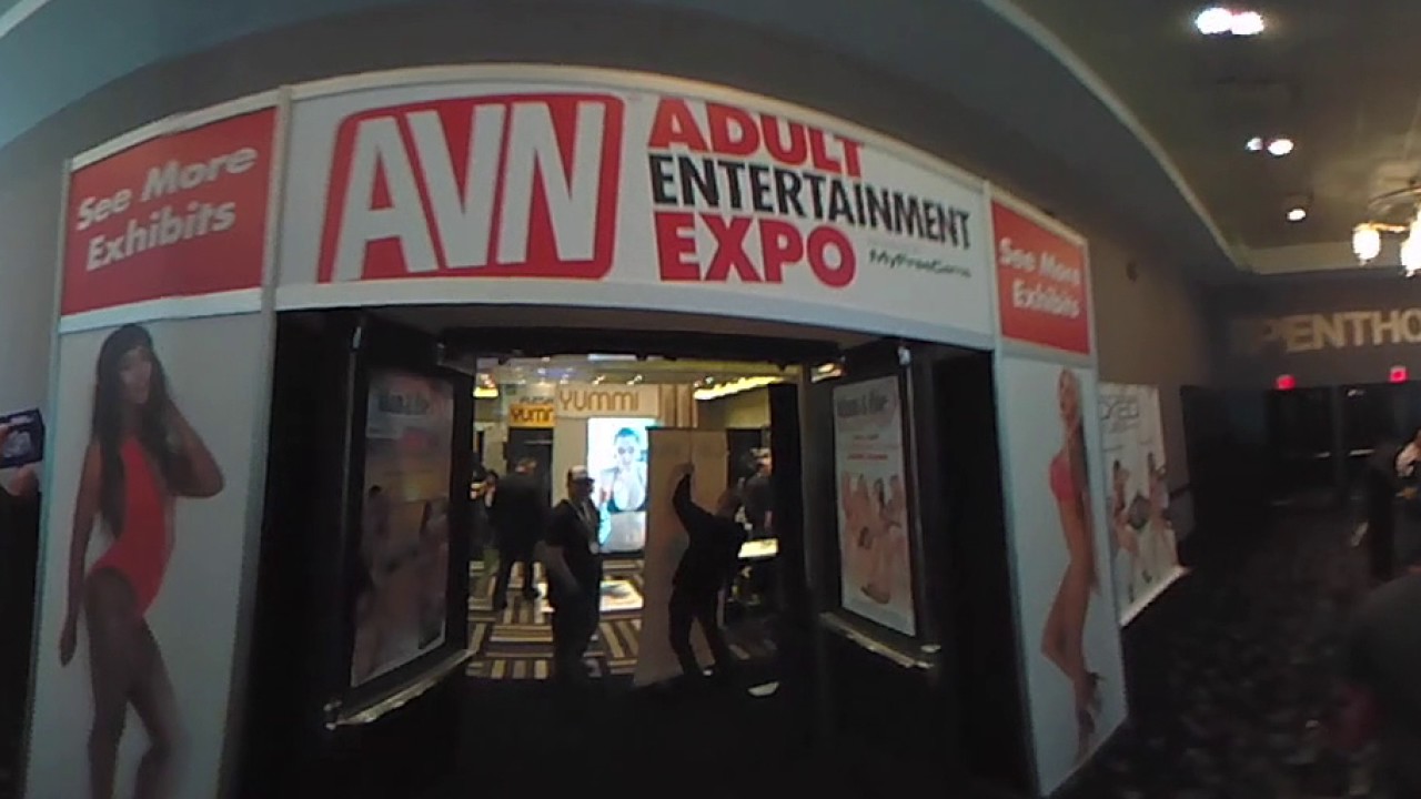 2017 AVN EXPO In 360°
