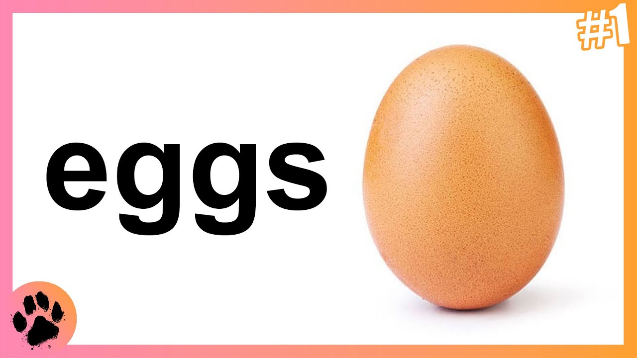 A Bit About: Eggs