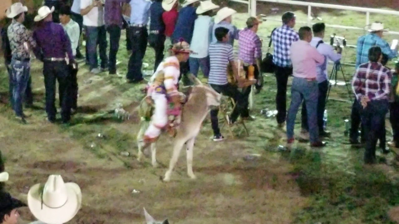 Jaripeo Baile en puga