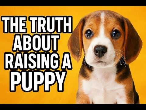 Surviving the First Week with a Puppy: The Real Story