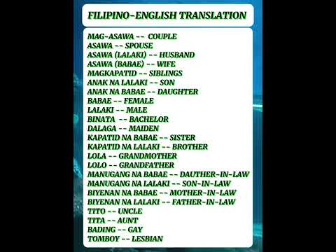 Watch and Learn || Filipino-English Translation